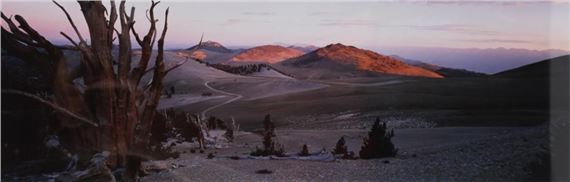 Warren Marr | 2 Artworks at Auction | MutualArt