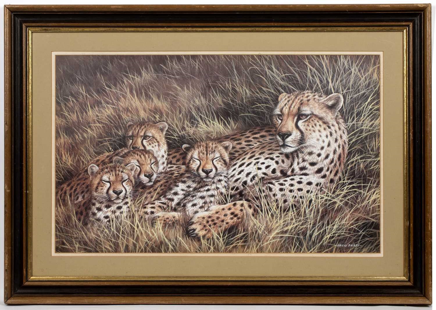 David Parry | A lioness with cubs | MutualArt