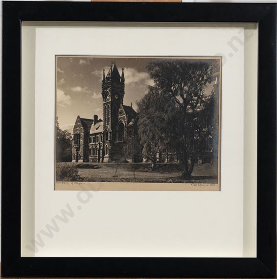 George Chance | University of Otago | MutualArt