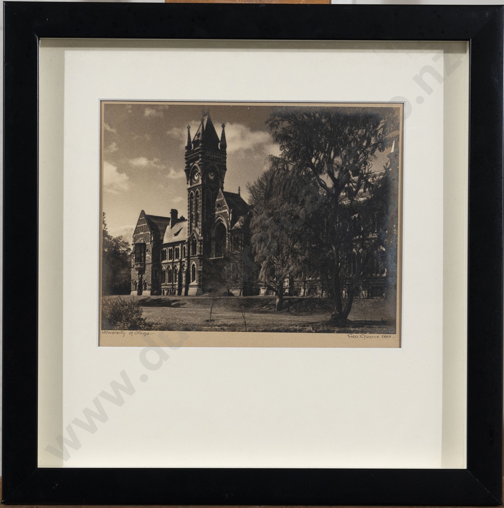 George Chance | University of Otago | MutualArt