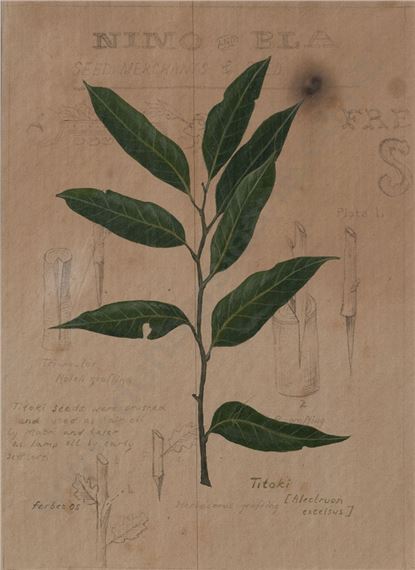 Tabatha Forbes (1972-) | 2 Artworks at Auction | MutualArt