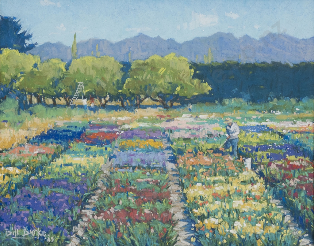 Bill Burke | The Iris Garden | MutualArt