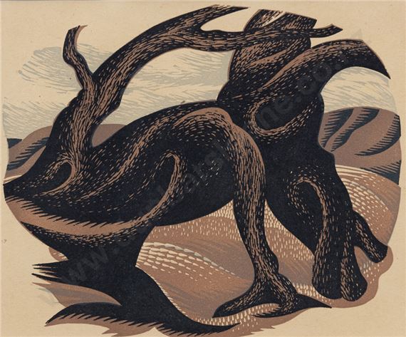 E. Mervyn Taylor | Erosion | MutualArt