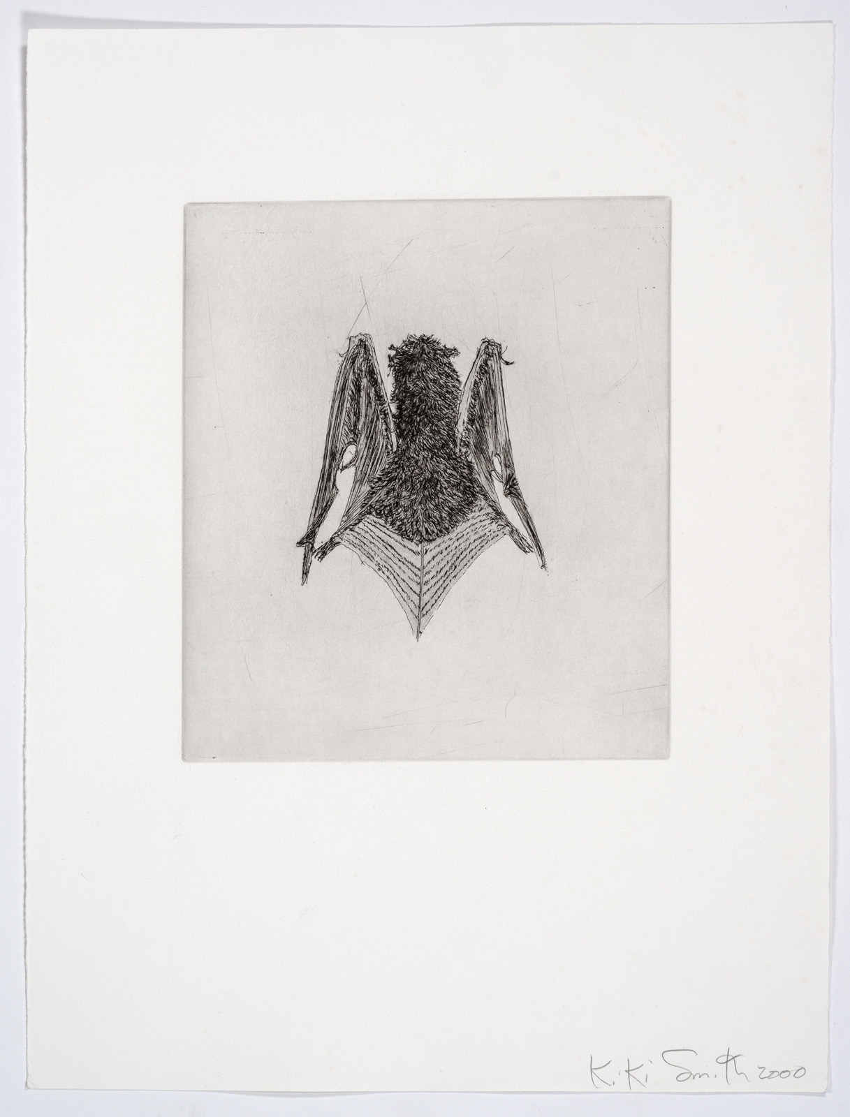Kiki Smith | Bat (2000) | MutualArt