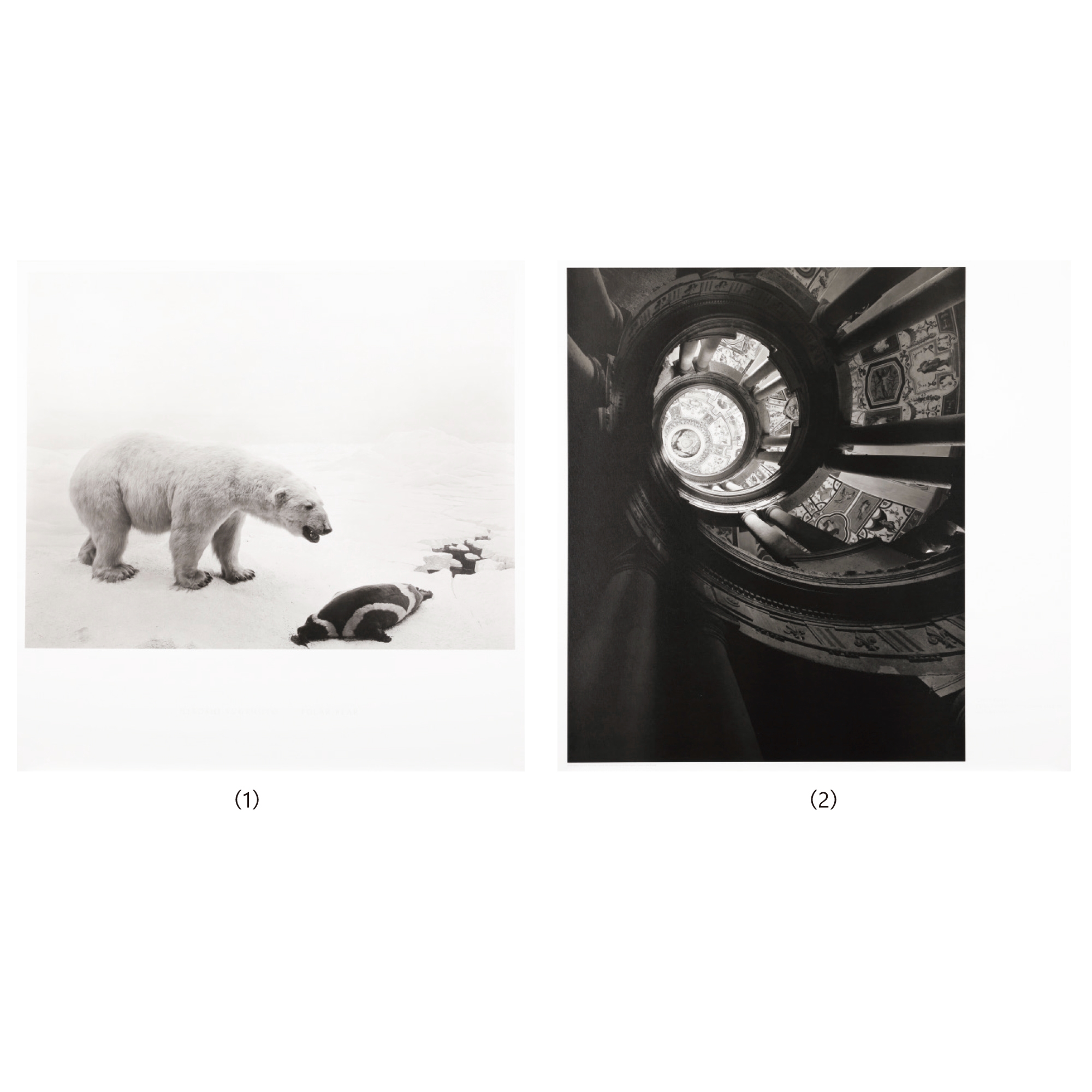 Hiroshi Sugimoto | POLAR BEAR, STAIRCASE AT VILLA FARNESS II | MutualArt