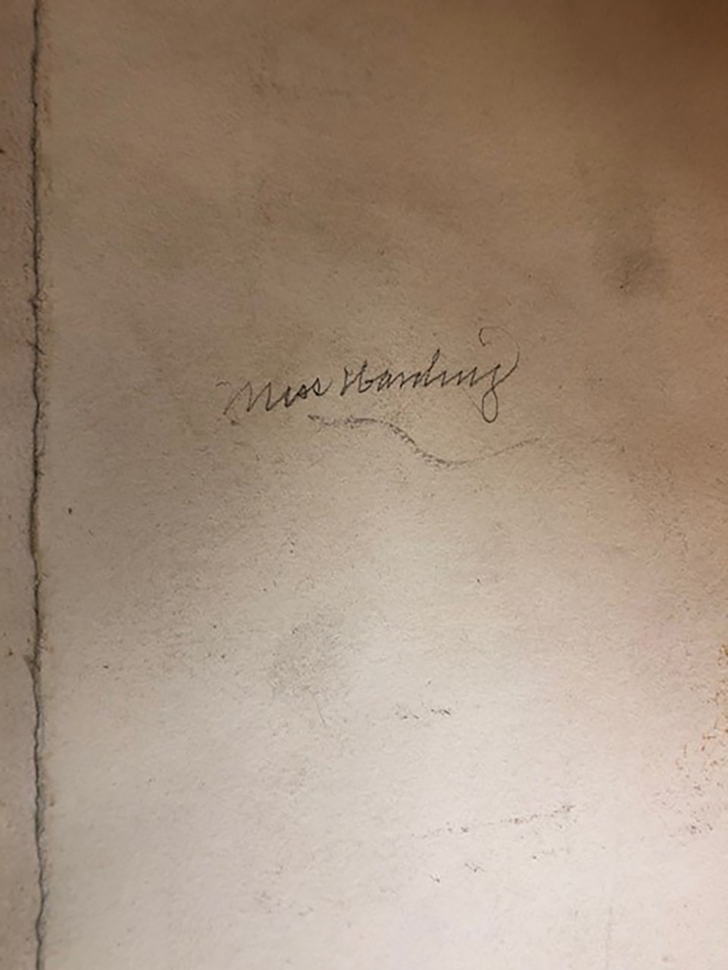 Charlotte Harding | Still Life | MutualArt