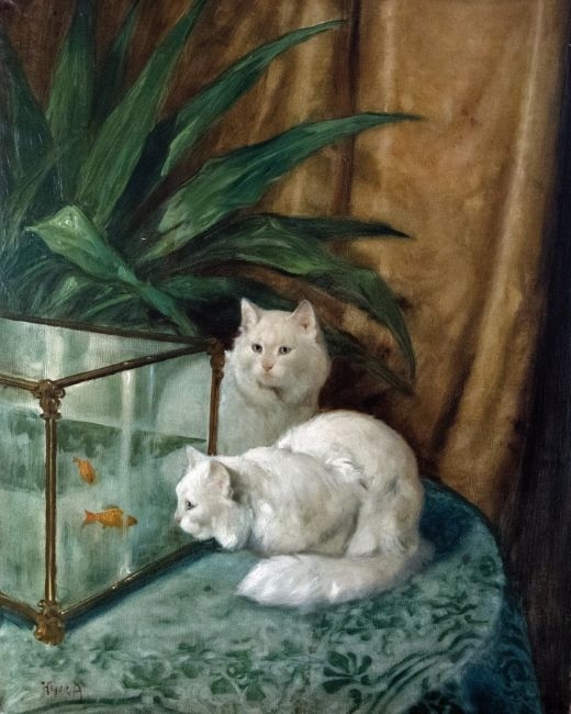 Arthur Heyer | Cats at the aquarium | MutualArt