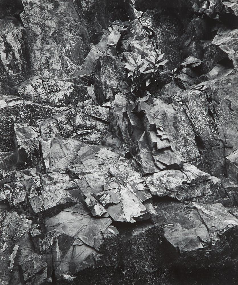 John B. Turner | Ngaio Gorge, Wellington (1967) | MutualArt
