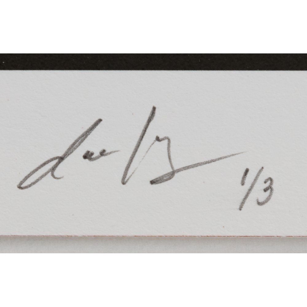 Deun Ivory | Photographic depictions of female anatom | MutualArt