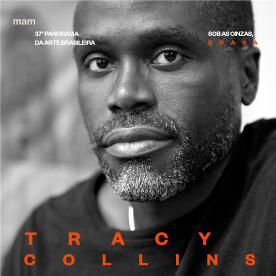 Tracy Collins | Artist Overview | MutualArt