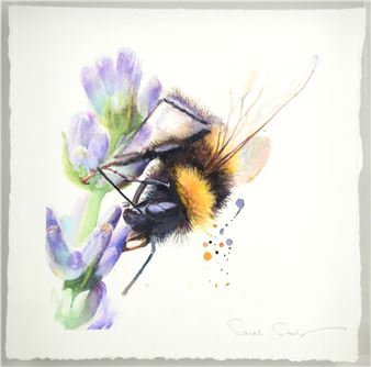 Sarah Stokes | 9 Artworks at Auction | MutualArt