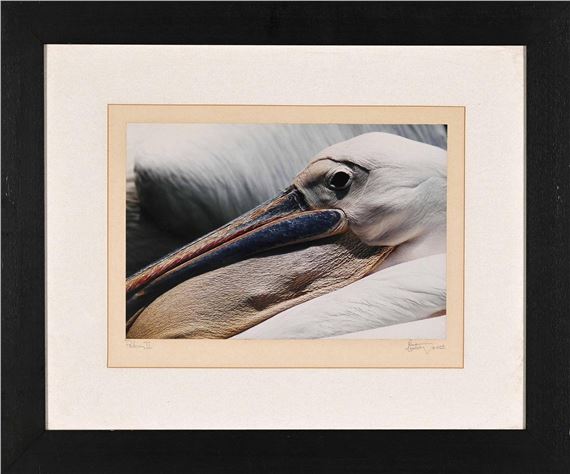 Laurence Boatwright | 1 Artworks at Auction | MutualArt