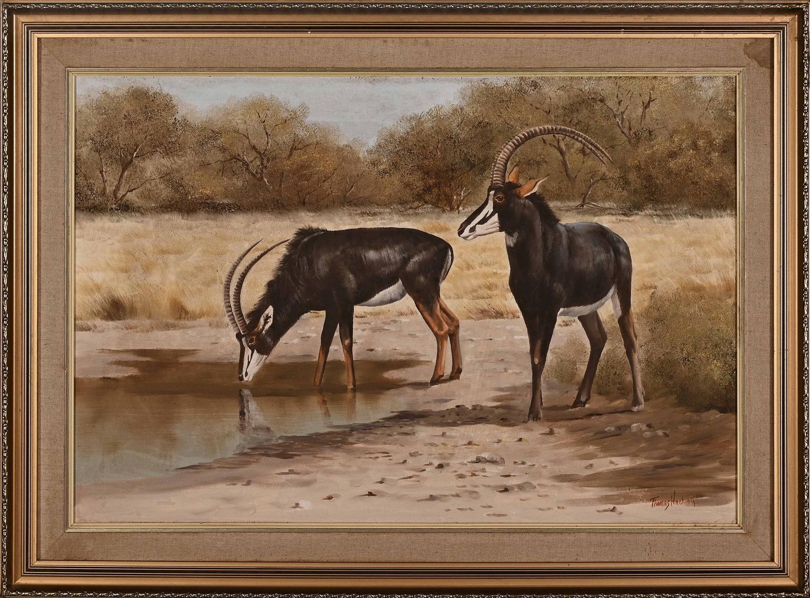 Thomas Hacking | Two Sabel Antelope | MutualArt