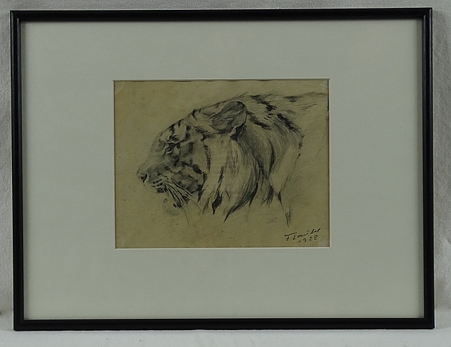 Fritz Laube | Tiger Portrait (1914) | MutualArt