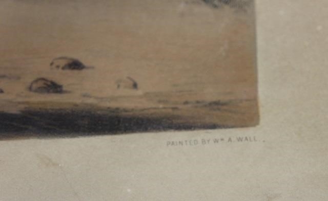 William Allen Wall | COLORED LITHOGRAPH (1858) | MutualArt