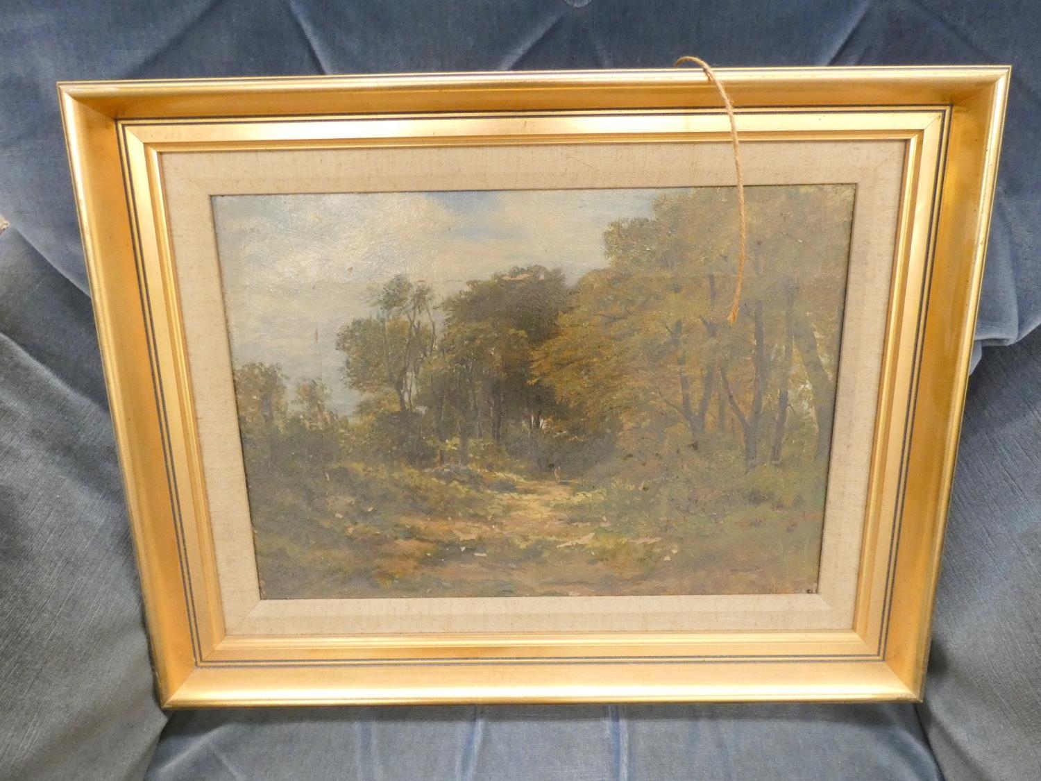 David Storrar | landscape | MutualArt