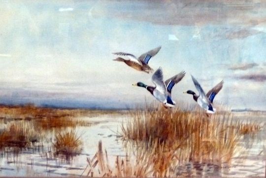 Roland Green | landscape scene depicting ducks on marshland | MutualArt
