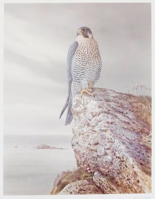 R. David Digby | signed in pencil | MutualArt