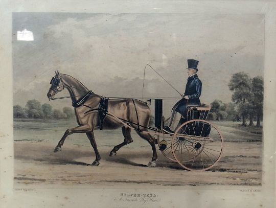 G. Reeve | a favourite Gig Horse | MutualArt