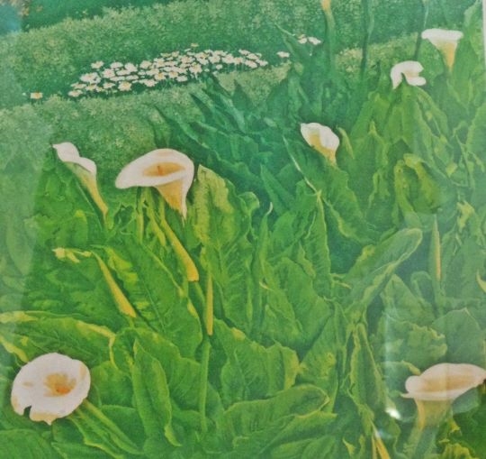 David Suff | David Suff (1983) | MutualArt