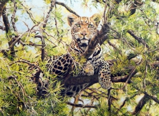 Simon Combes | signed in pencil | MutualArt