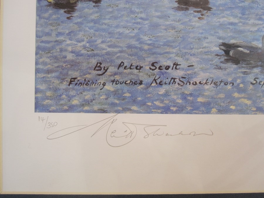 Keith Shackleton | finishing touches by Keith Shackleton | MutualArt