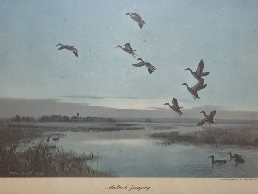 Peter Markham Scott | Mallards Jumping (1952) | MutualArt