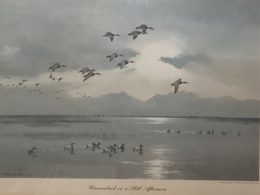 Peter Markham Scott | Mallards Jumping (1952) | MutualArt