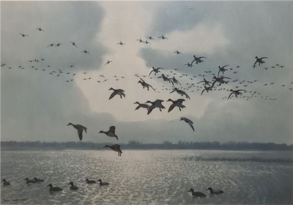 Peter Markham Scott | Mallards Jumping (1952) | MutualArt