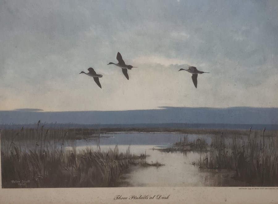 Peter Markham Scott | Mallards Jumping (1952) | MutualArt