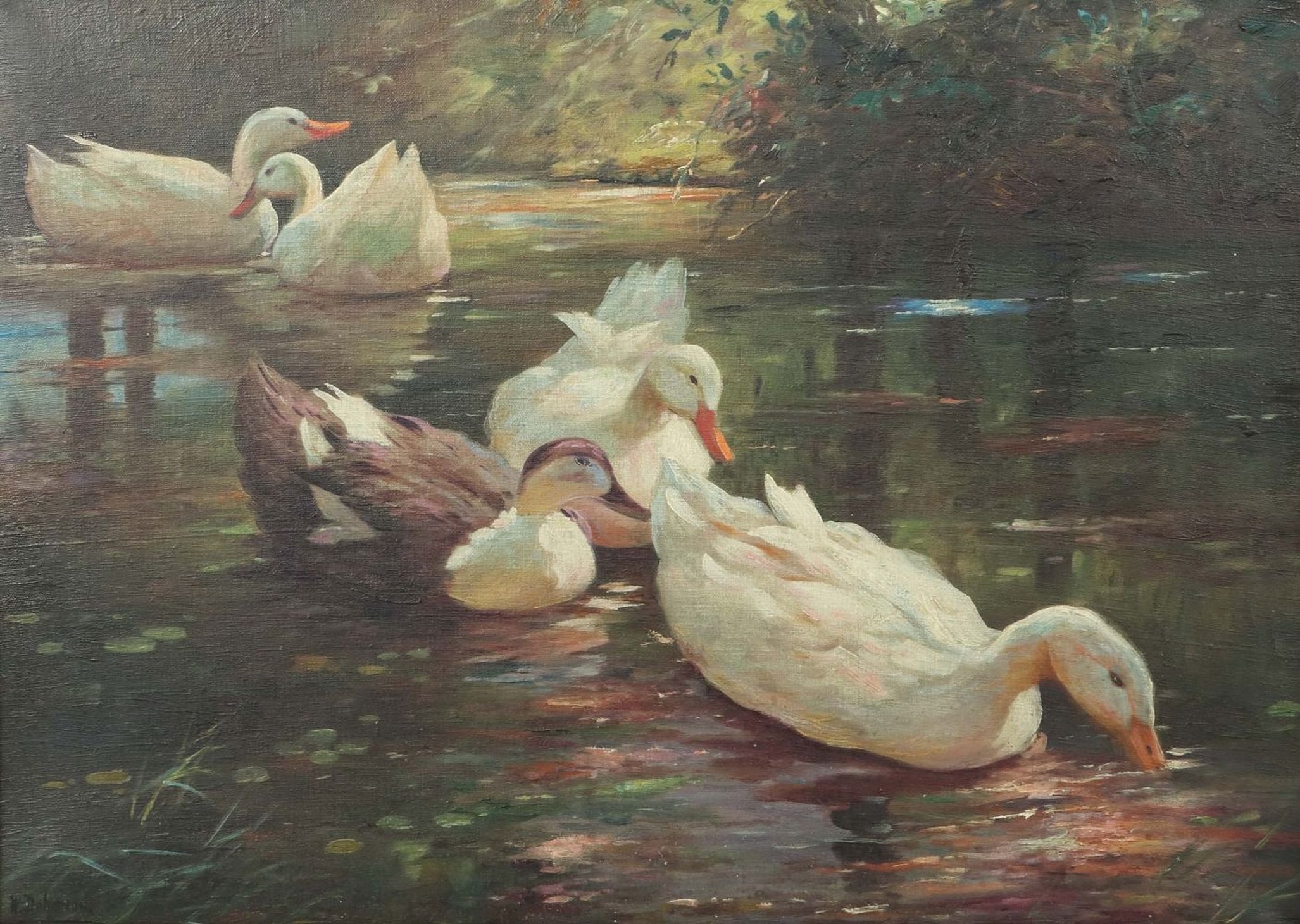 Wilhelm Dohmann | Entenschar | MutualArt