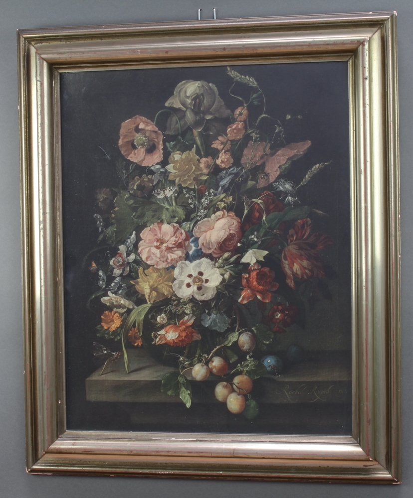 Rachel Ruysch | still life study (1703) | MutualArt