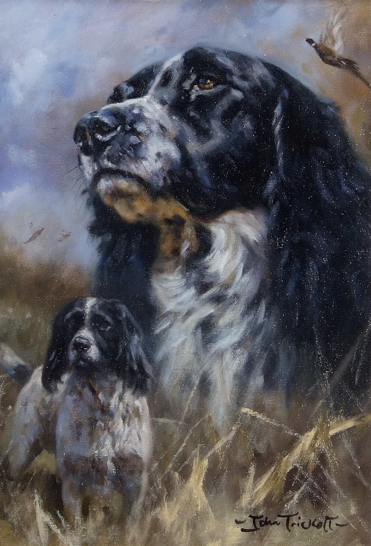 John Trickett | Portrait of a gun dog with pheasants in the distance ...