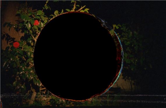 Myrid Carten | Artist Overview | MutualArt