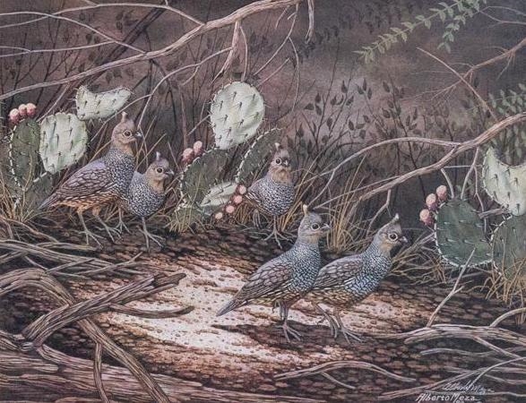 Alberto Meza | Set of Wildlife Prints (2) (1980) | MutualArt