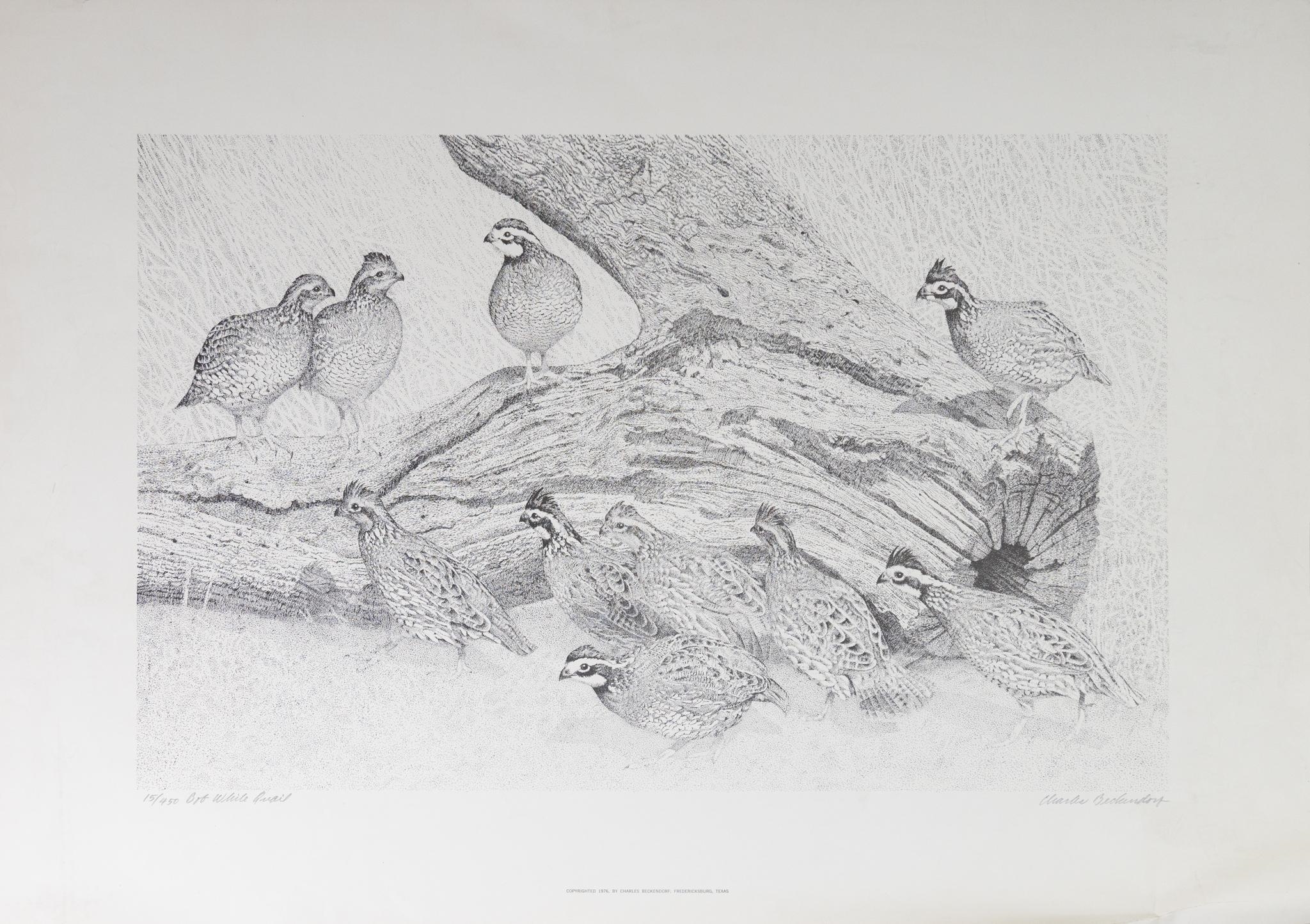 Charles Beckendorf | Bob White Quail | MutualArt