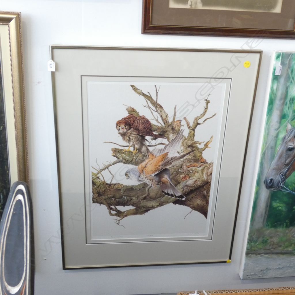 Raymond Harris Ching | KESTRELS | MutualArt