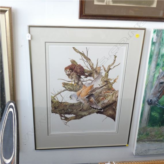 Raymond Harris Ching | KESTRELS | MutualArt