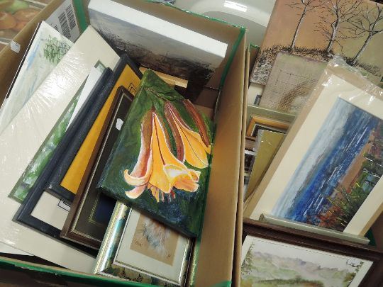 David Nowell | Biography