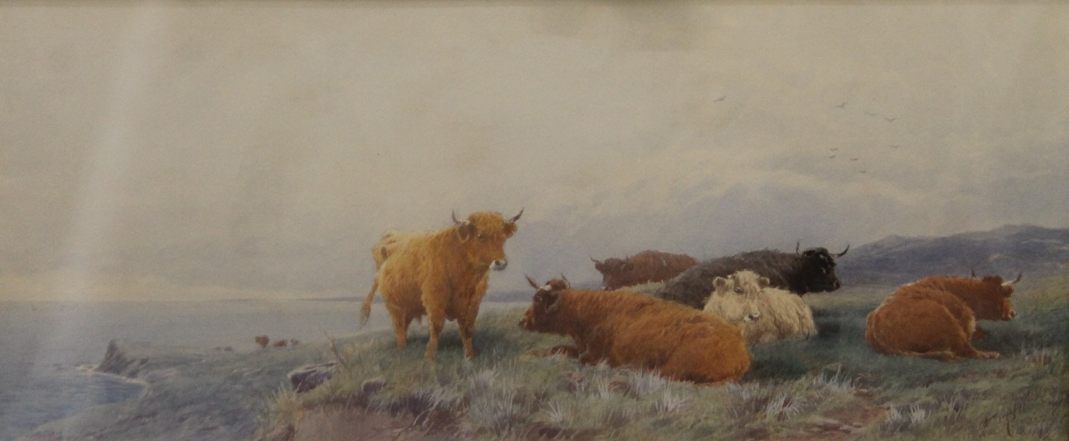 Thomas Rowden | Highland Cattle with Sea Beyond | MutualArt