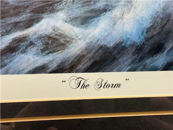 Jim Booth | “The Storm” | MutualArt