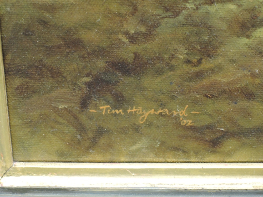 Tim Hayward | The watchfull vixen | MutualArt