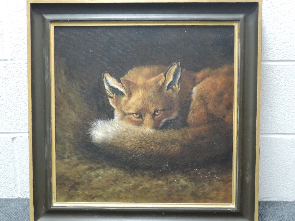 Tim Hayward | The watchfull vixen | MutualArt