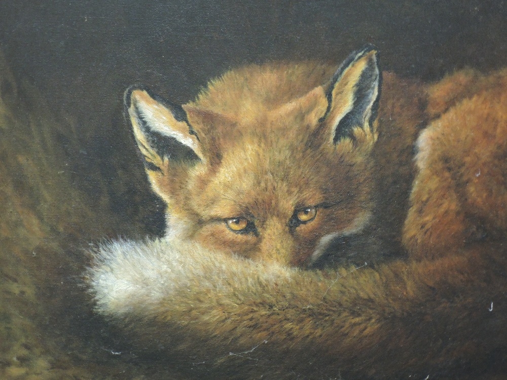 Tim Hayward | The watchfull vixen | MutualArt