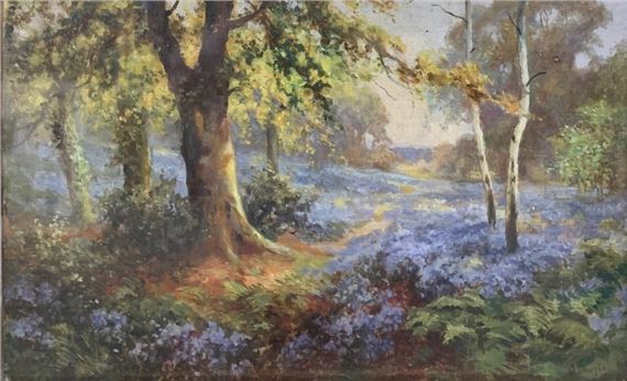 Daniel Sherrin | A woodland carpetered in bluebells | MutualArt