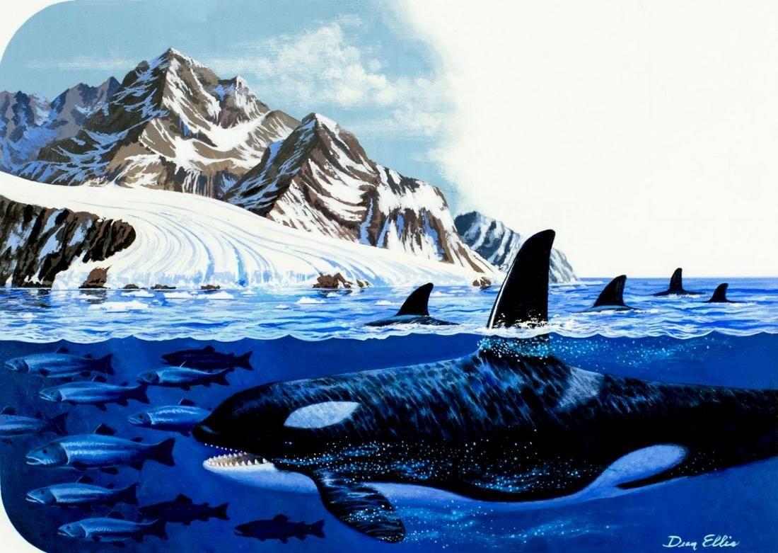 Dean Ellis | Killer Whale (1989) | MutualArt