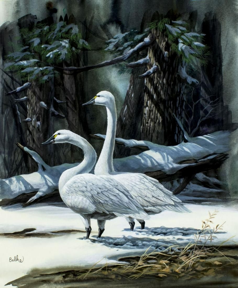 Don Balke | White Swan (1991) | MutualArt