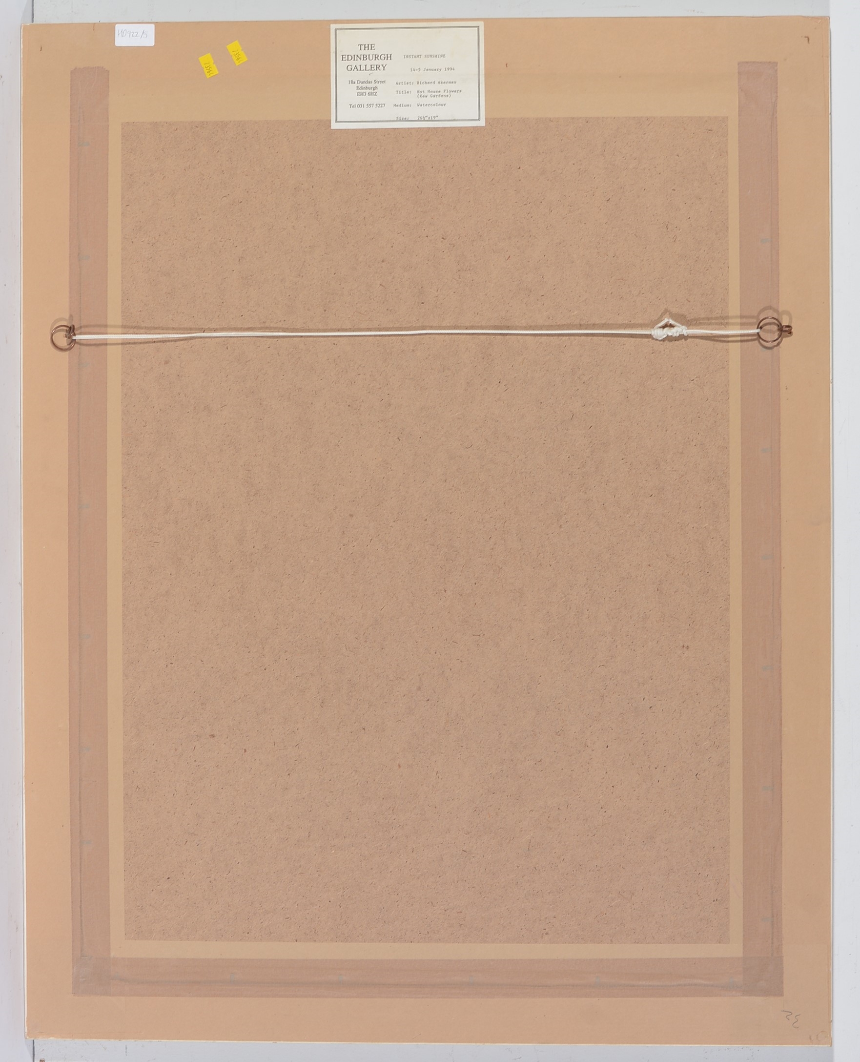 Richard Akerman | Hot House Flowers | MutualArt