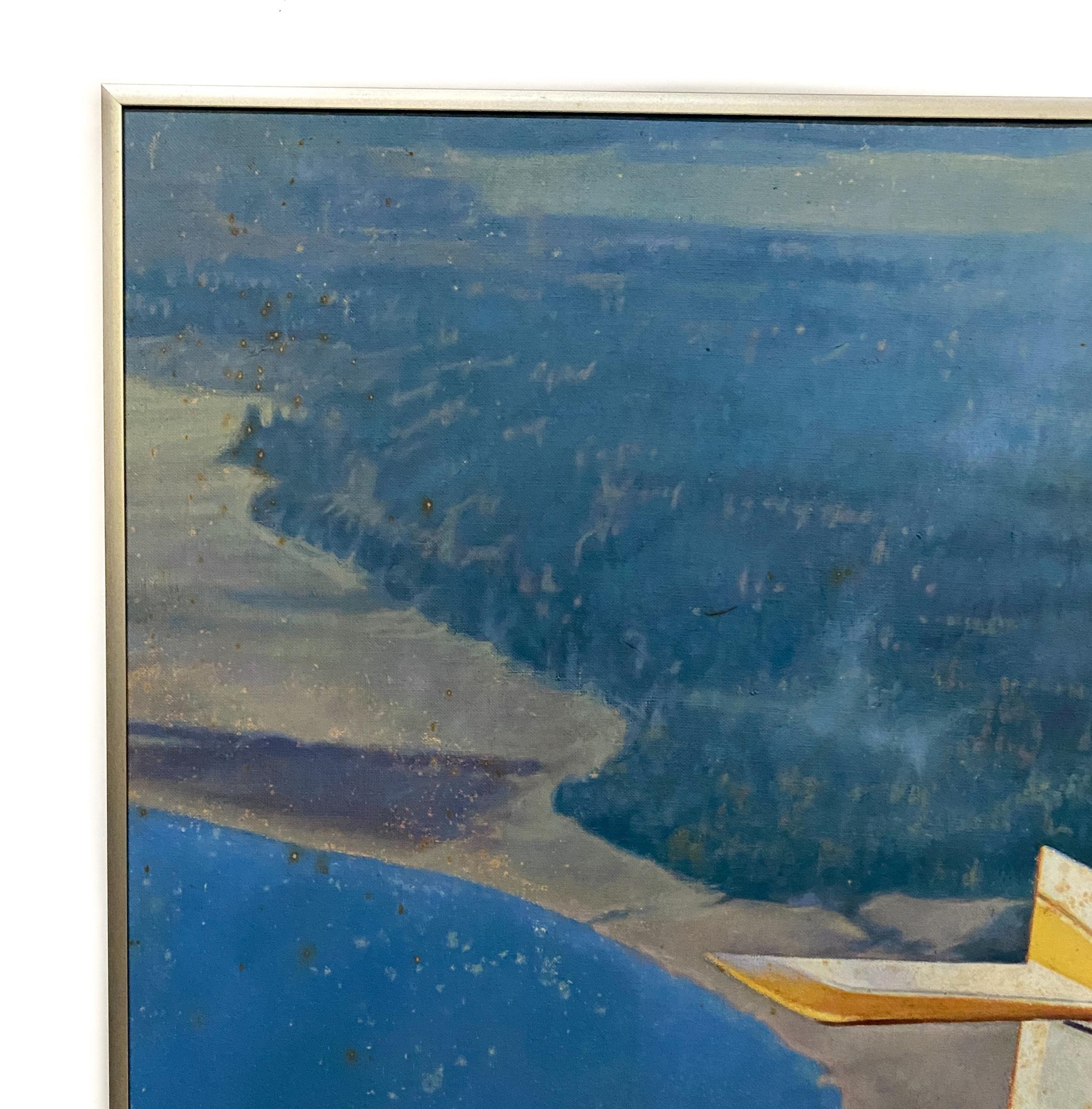 Peter Munro | Plane Over Canadian Forest | MutualArt