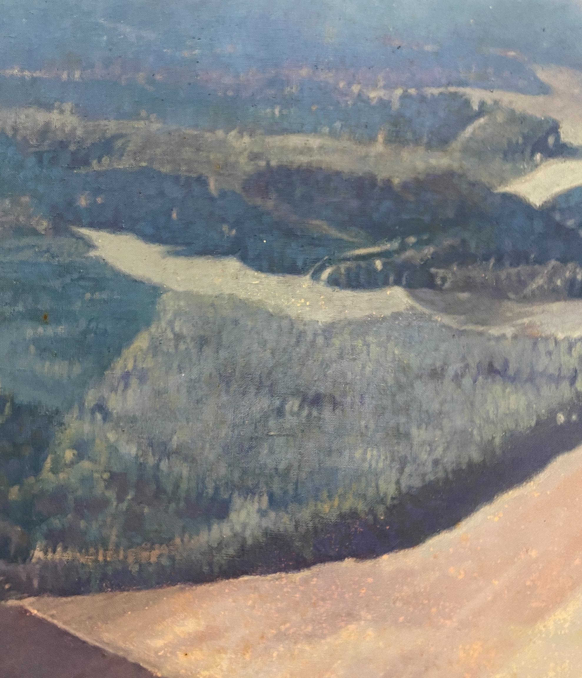 Peter Munro | Plane Over Canadian Forest | MutualArt